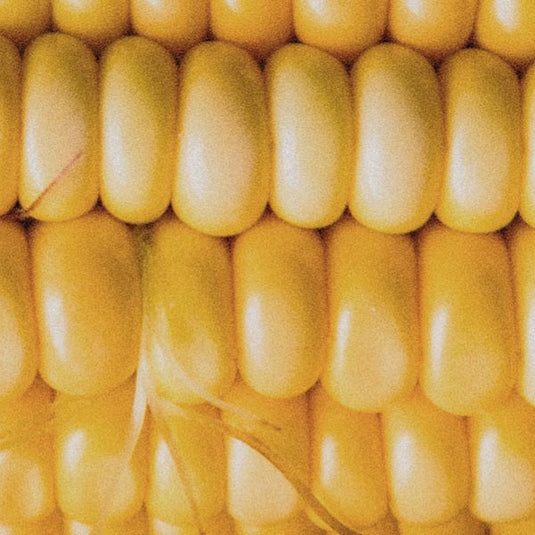 Materials – hylo athletics