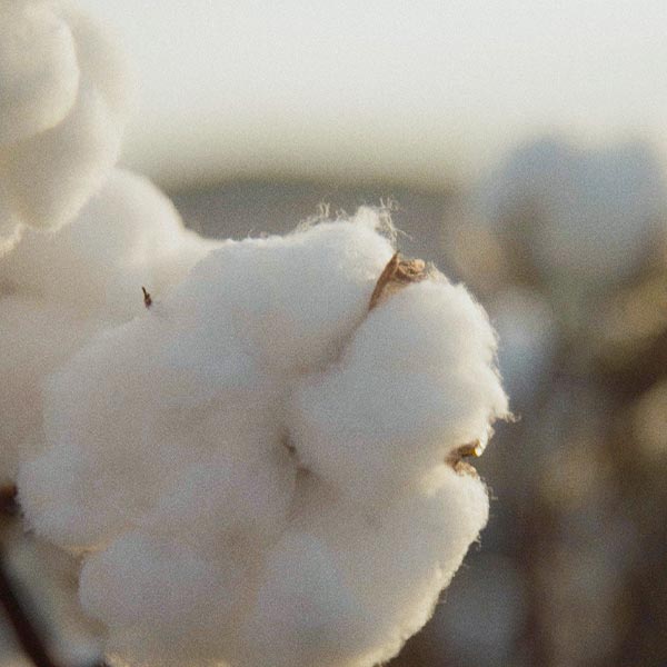 Materials – hylo athletics